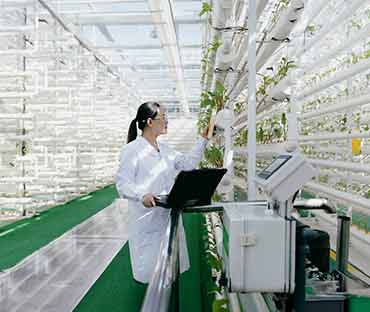 Updated Form 6765 reporting requirements | Grant Thornton